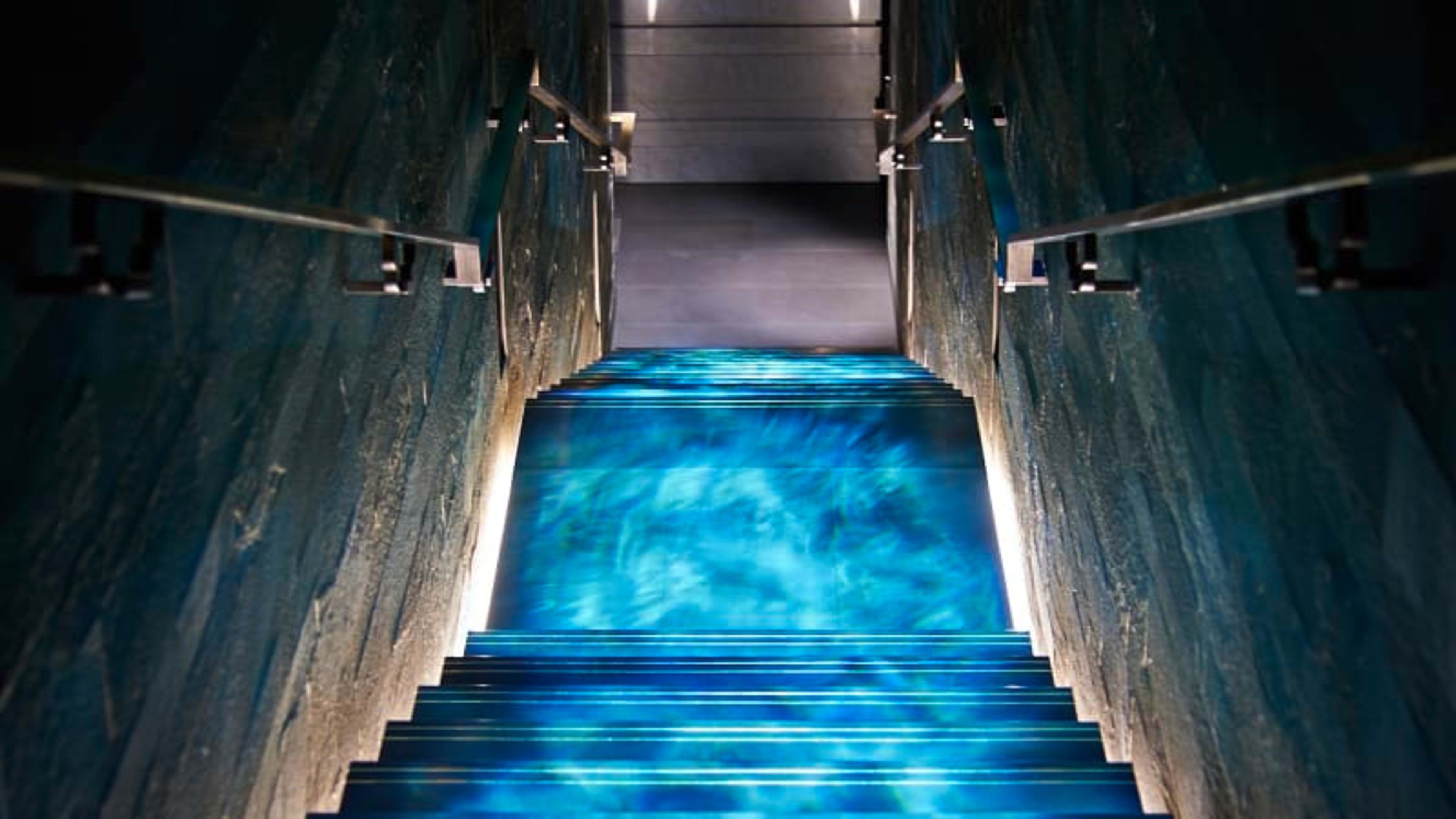 The 10 Best Restaurants in Mayfair, London | TheFork