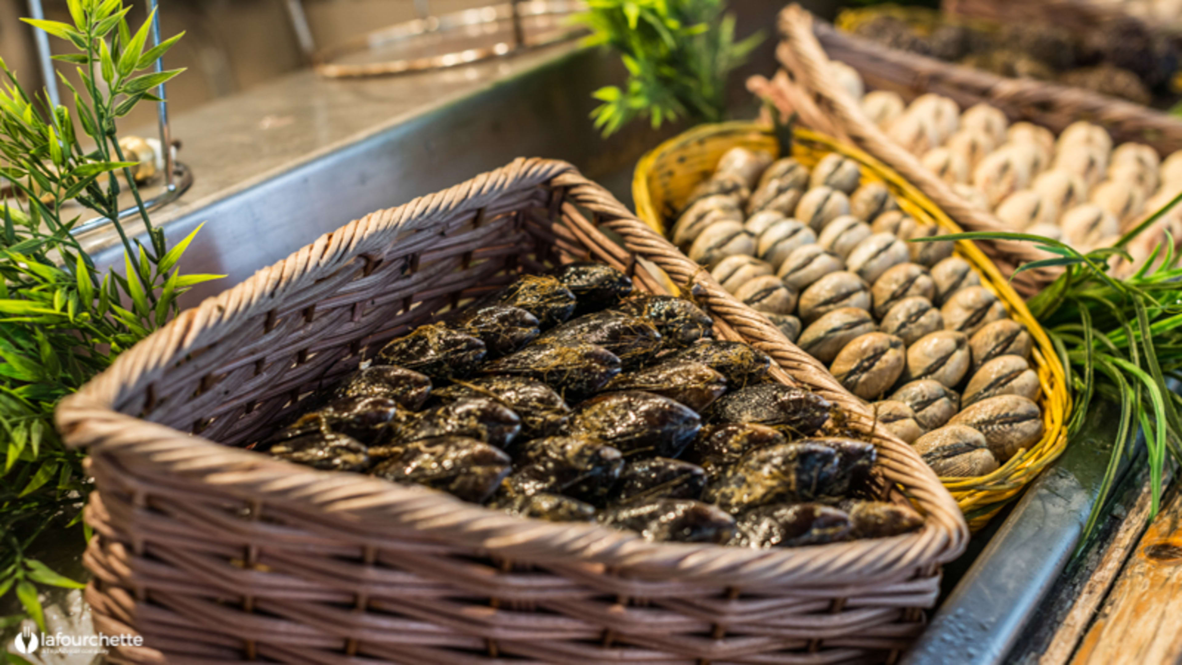 The 10 Best Escargots Restaurants in Paris | TheFork