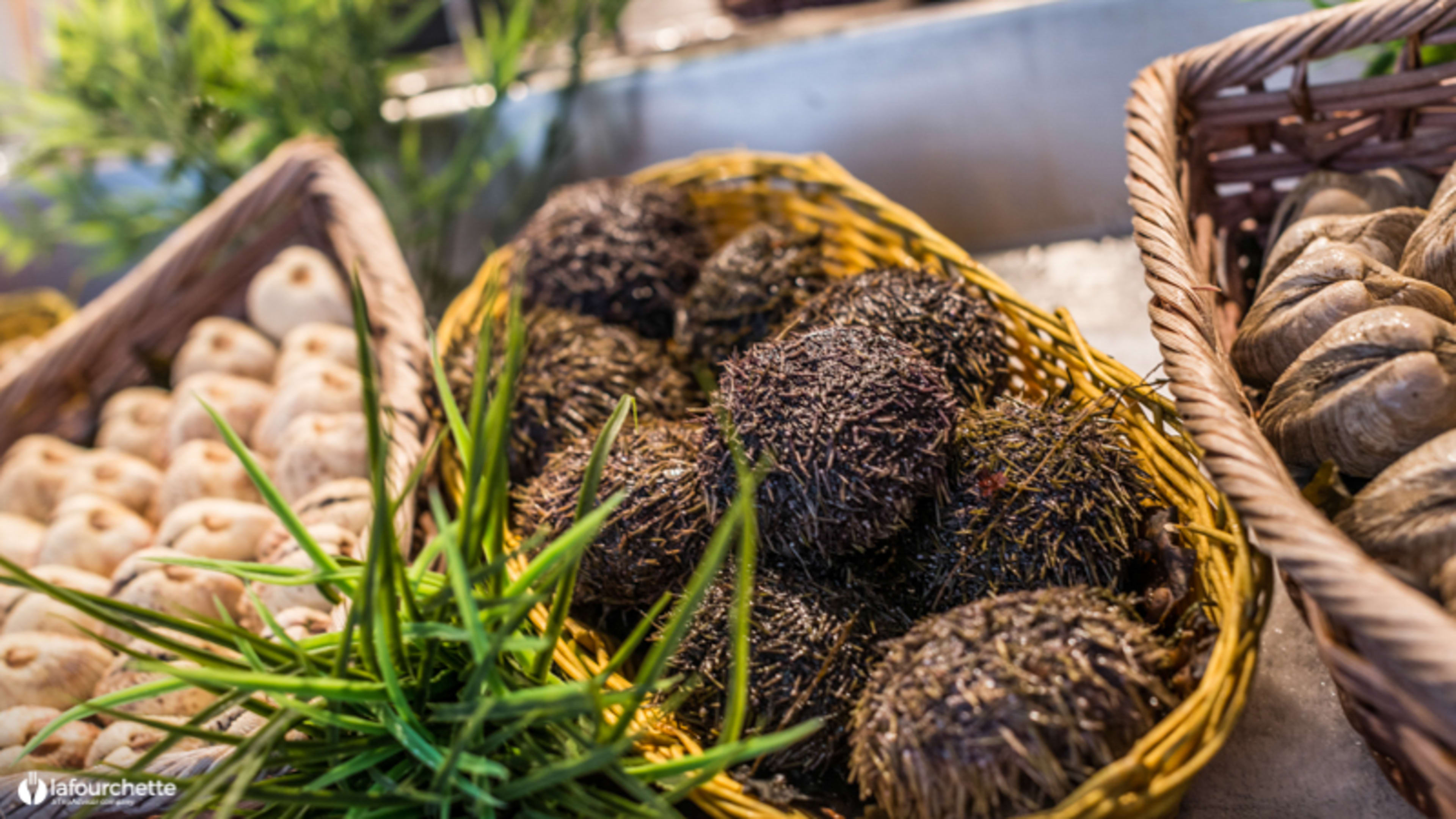 The 10 Best Escargots Restaurants in Paris | TheFork