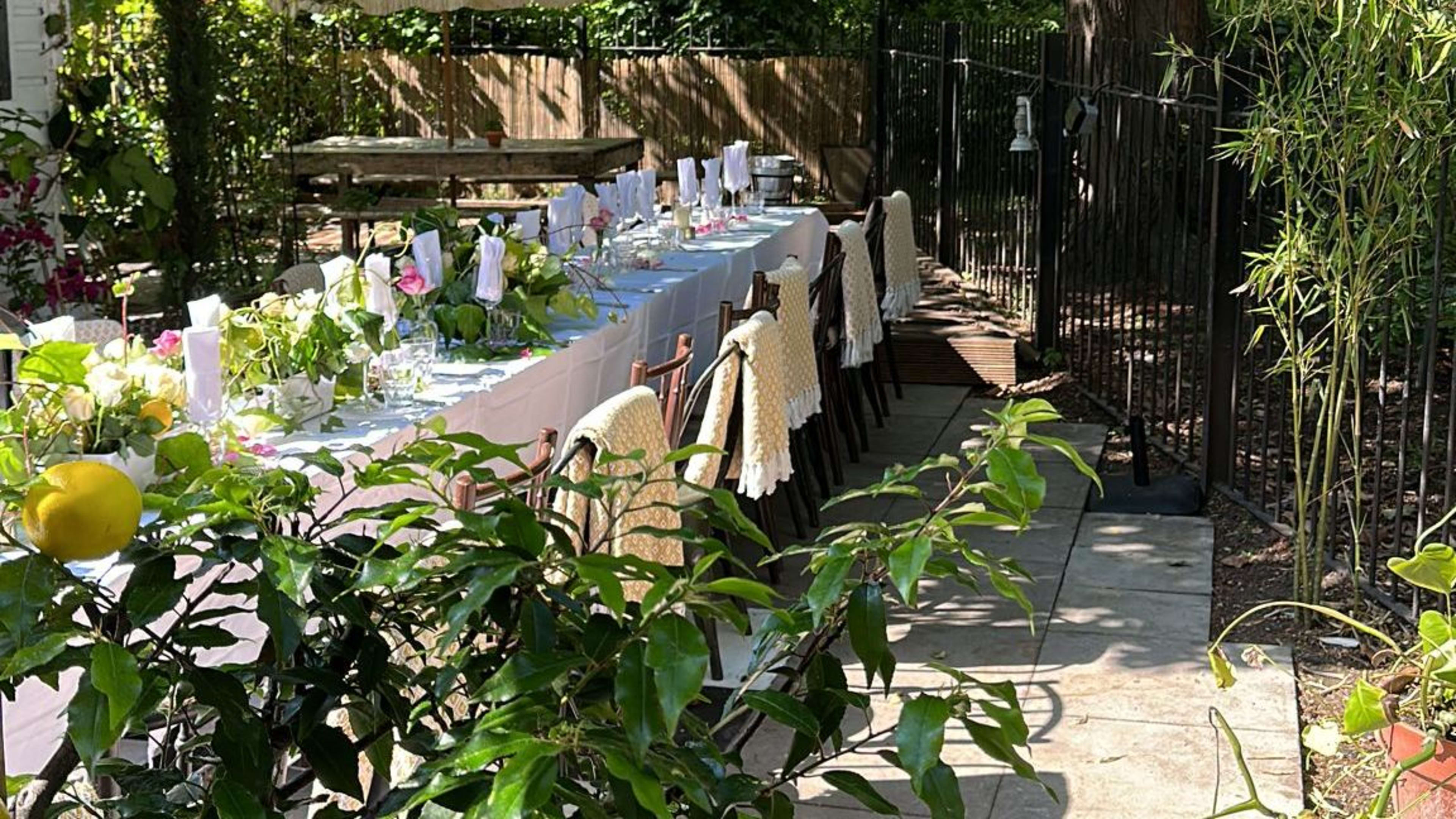 The Best Dog-Friendly Restaurants Near Me | TheFork