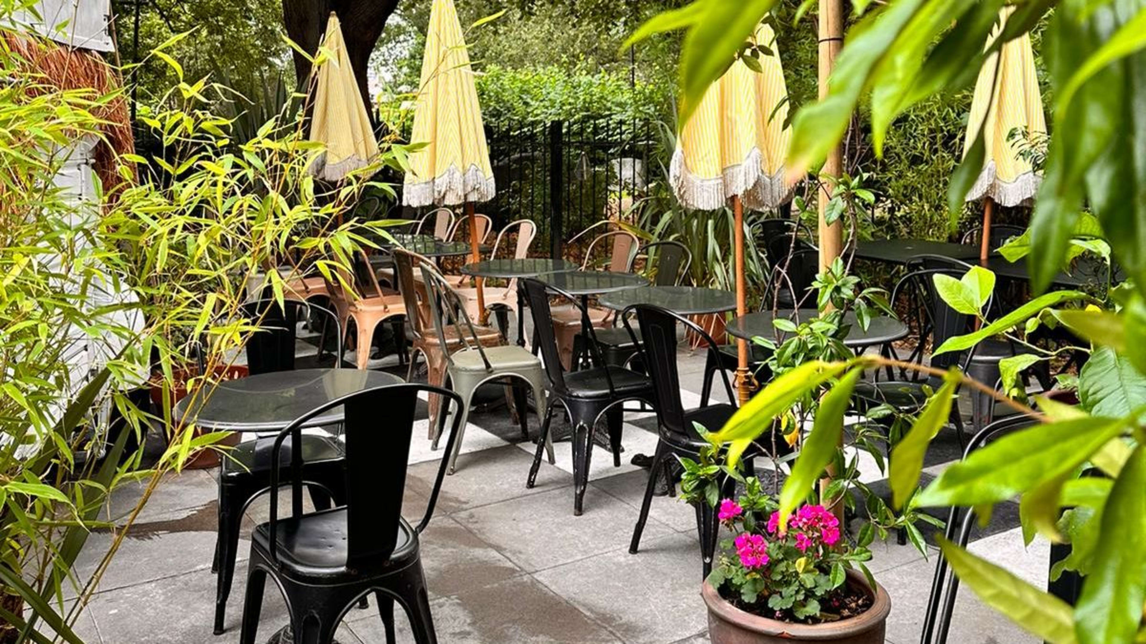 The Best Dog-Friendly Restaurants Near Me | TheFork