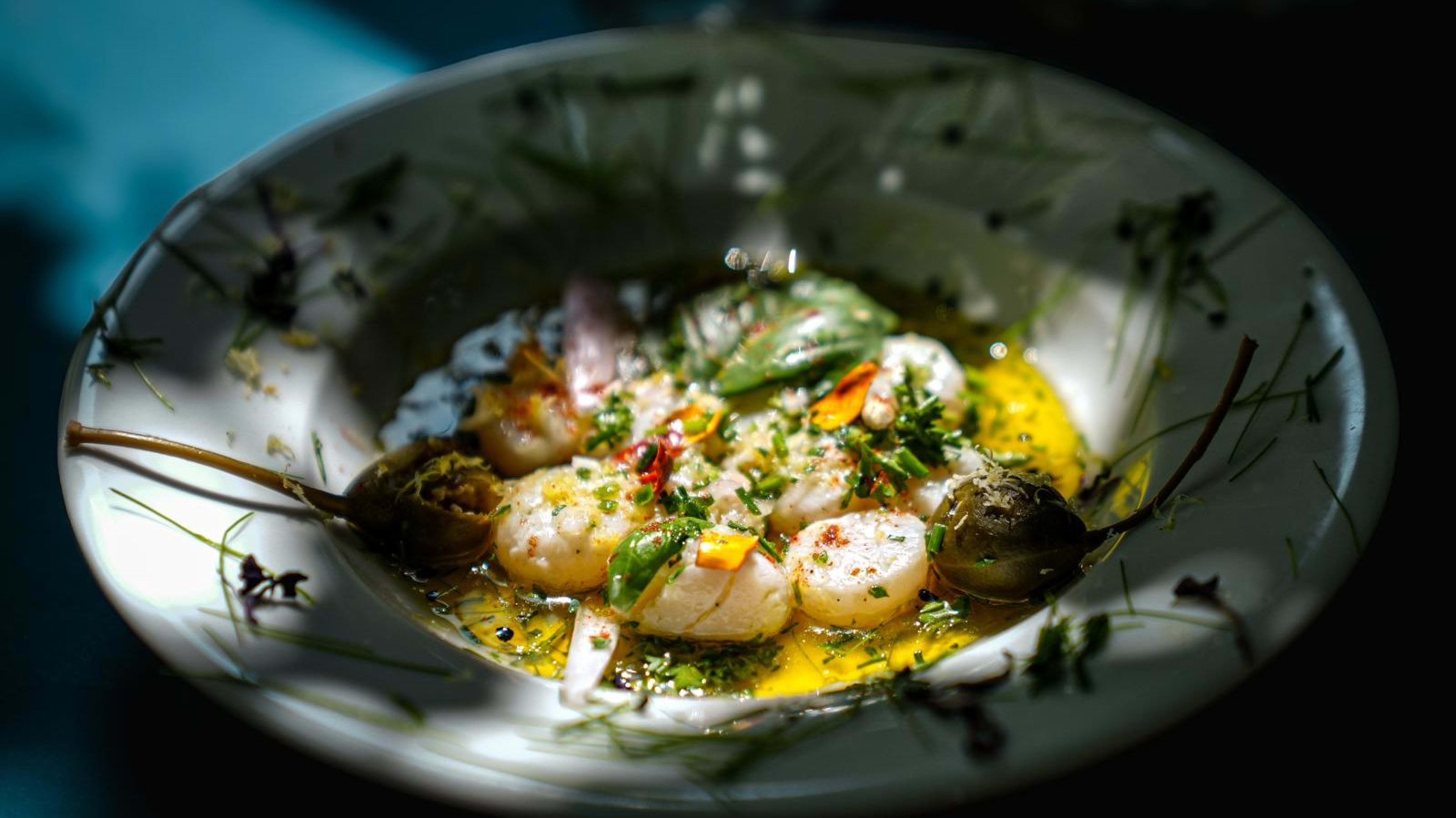 The Best Dog-Friendly Restaurants Near Me | TheFork