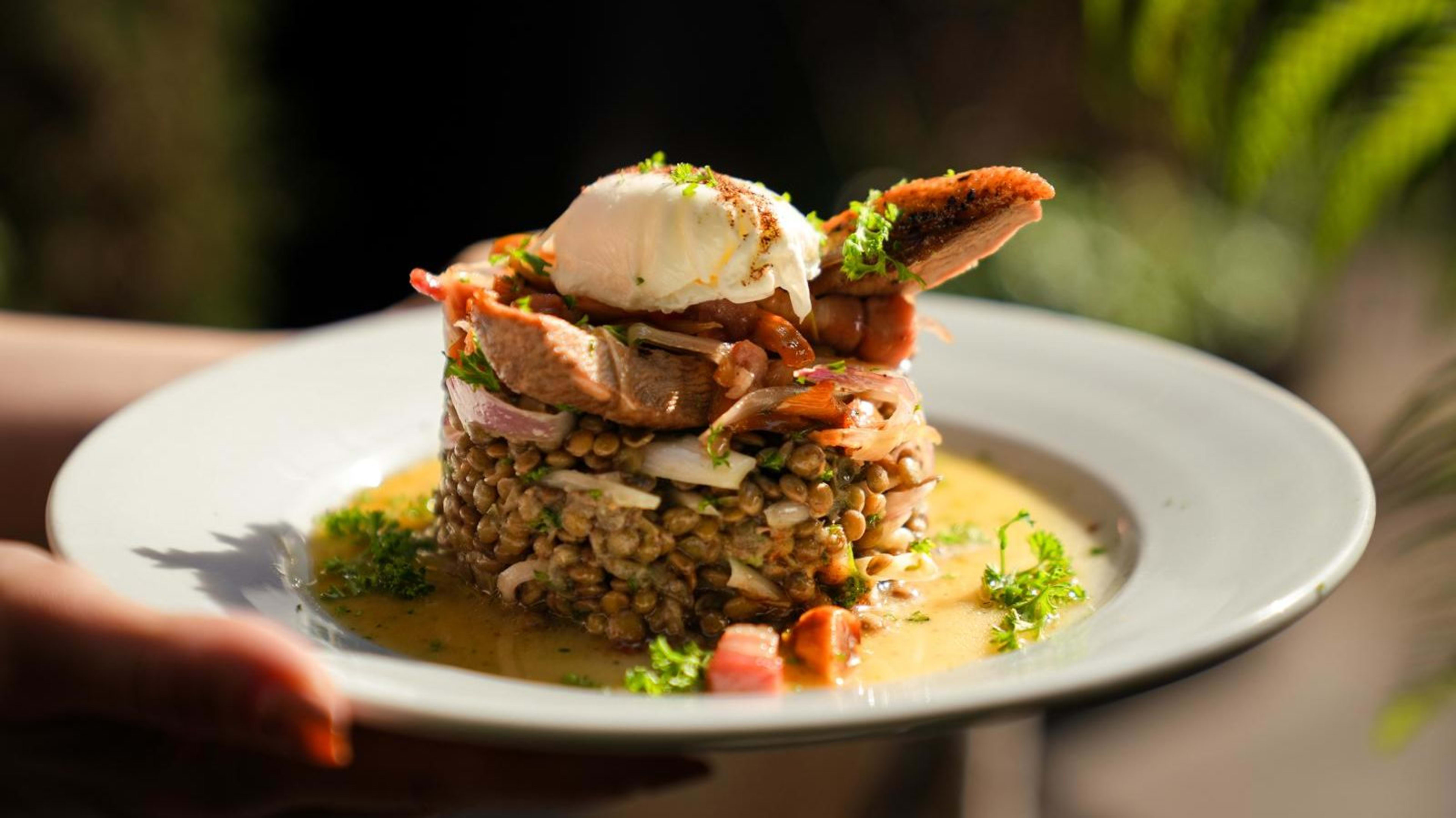 The Best Dog-Friendly Restaurants Near Me | TheFork