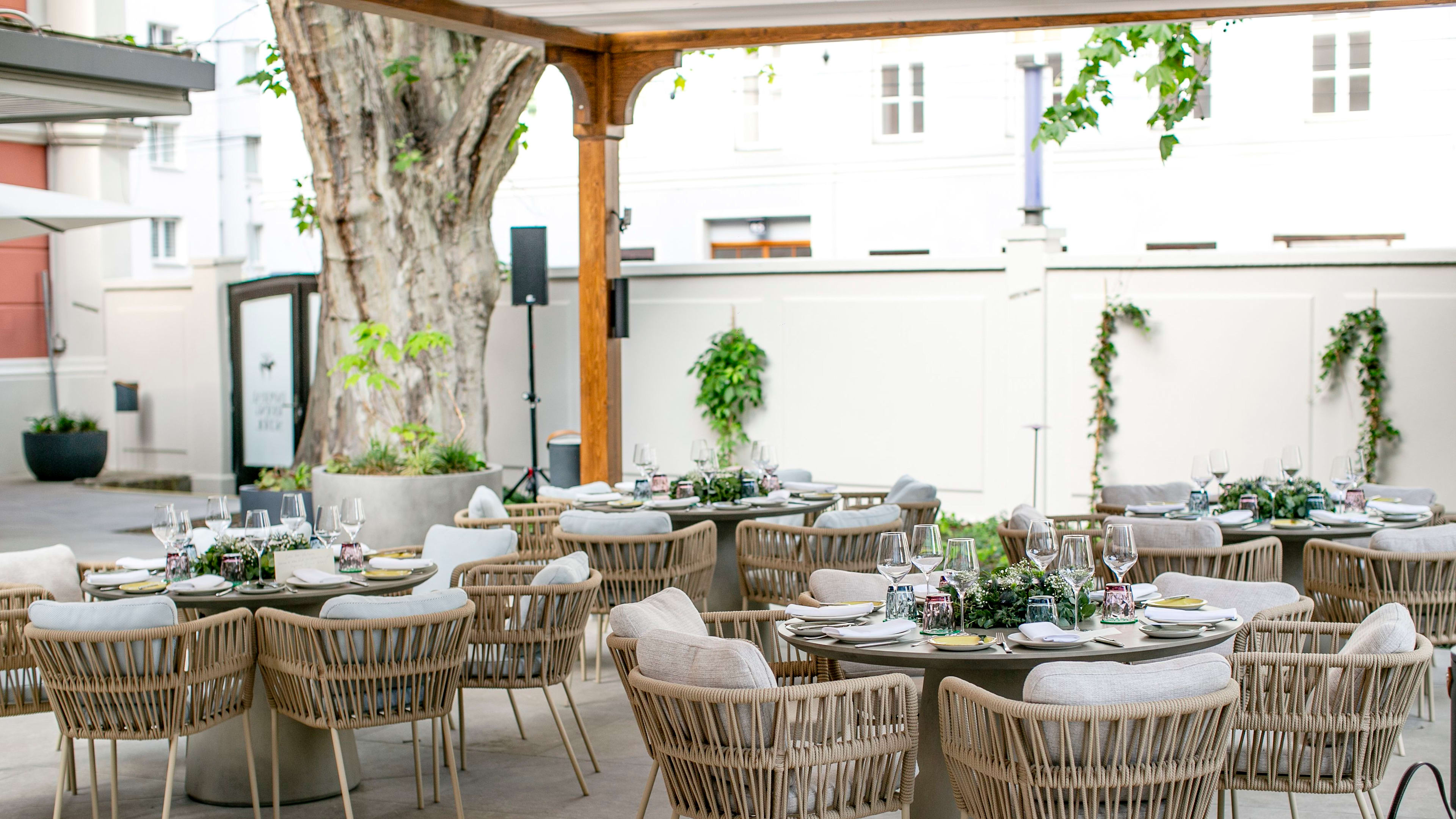 I migliori 10 ristoranti 2025 a Vienna con menù | TheFork