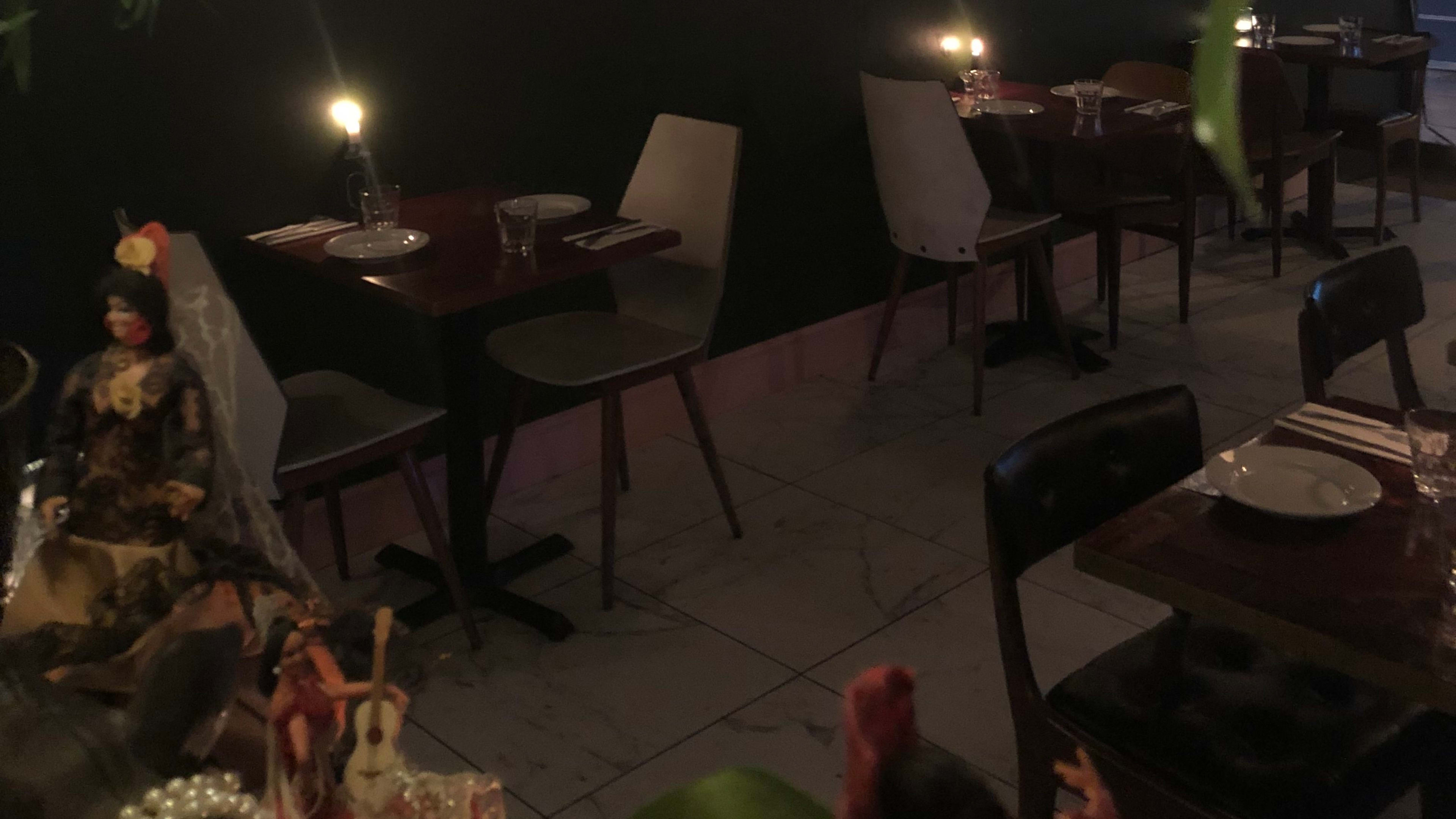 The Best Dog-Friendly Restaurants Near Me | TheFork