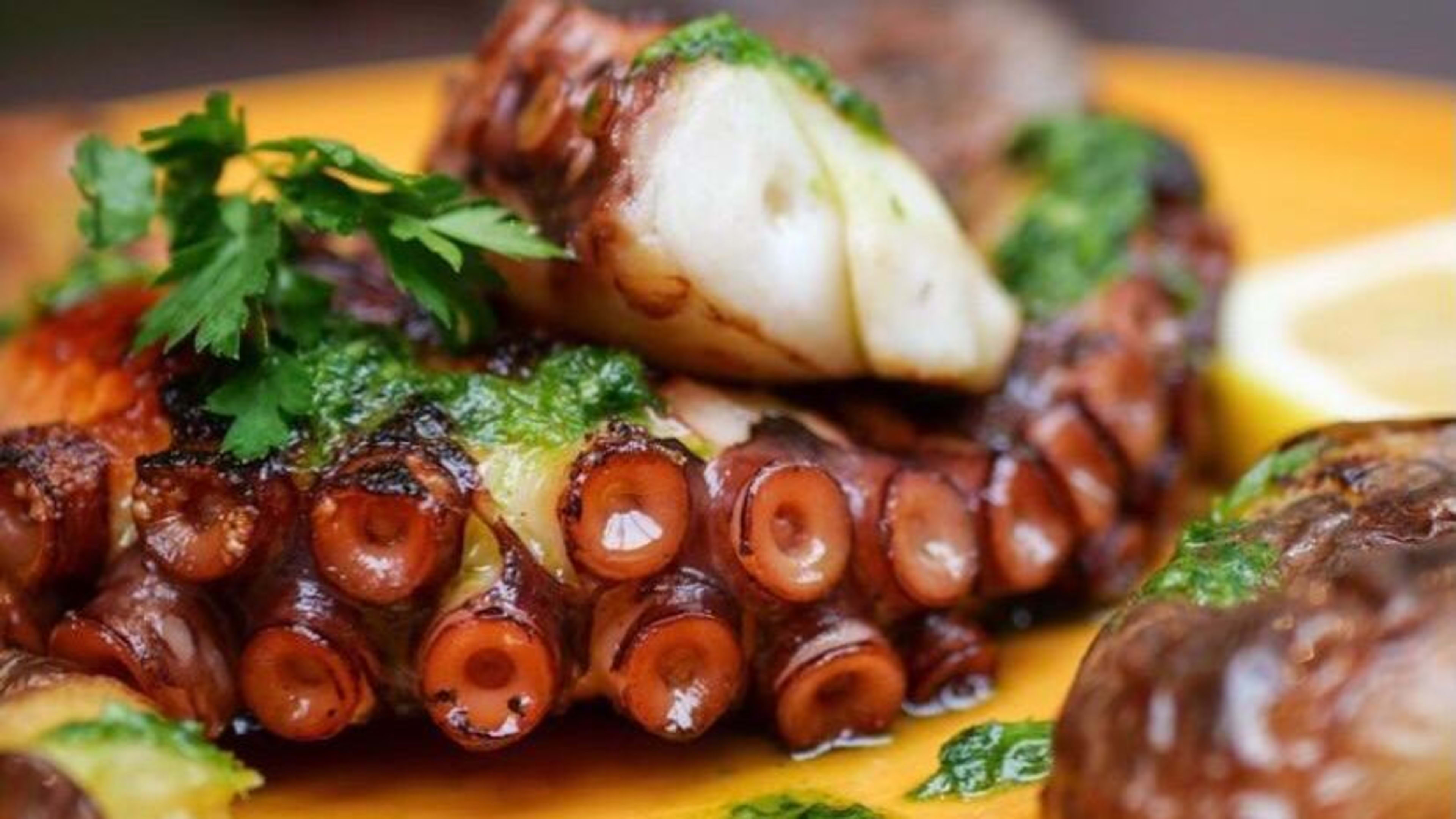 The Best Portuguese Restaurants Near Me | TheFork