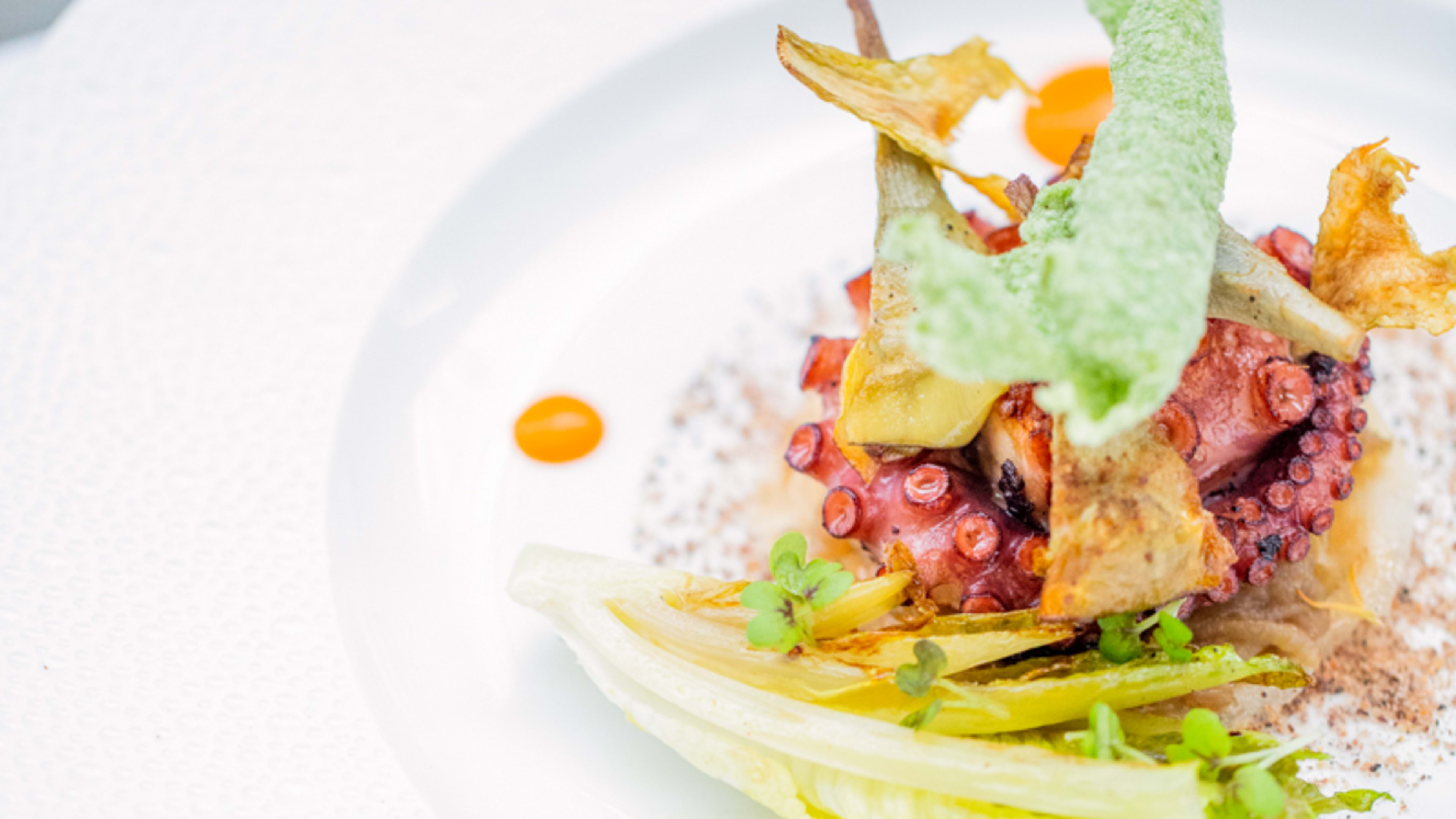 The 10 Best Escargots Restaurants in Paris | TheFork