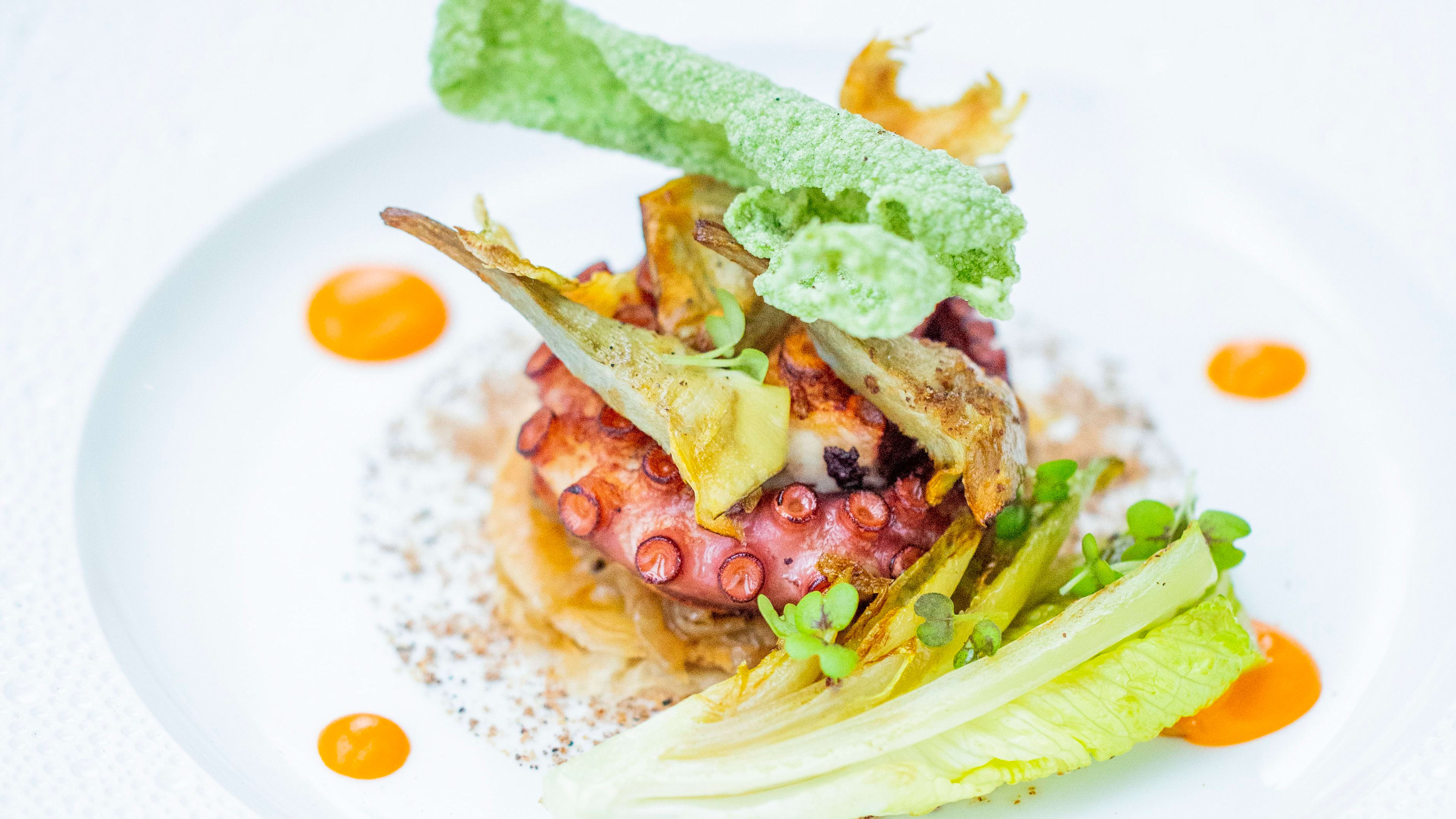 The 10 Best Escargots Restaurants in Paris | TheFork