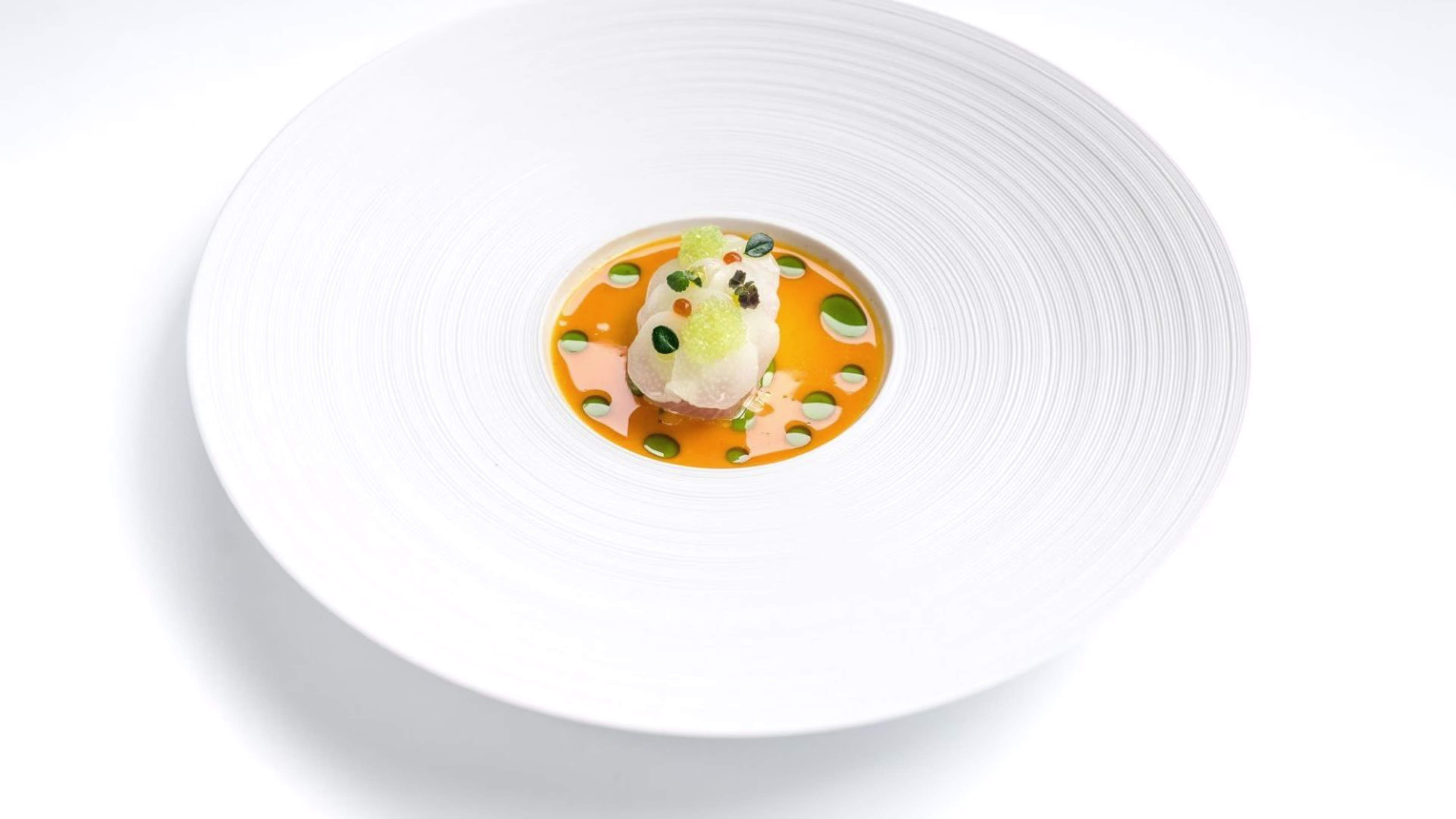 The 10 Best Restaurants in Rotterdam Centrum, Rotterdam | TheFork