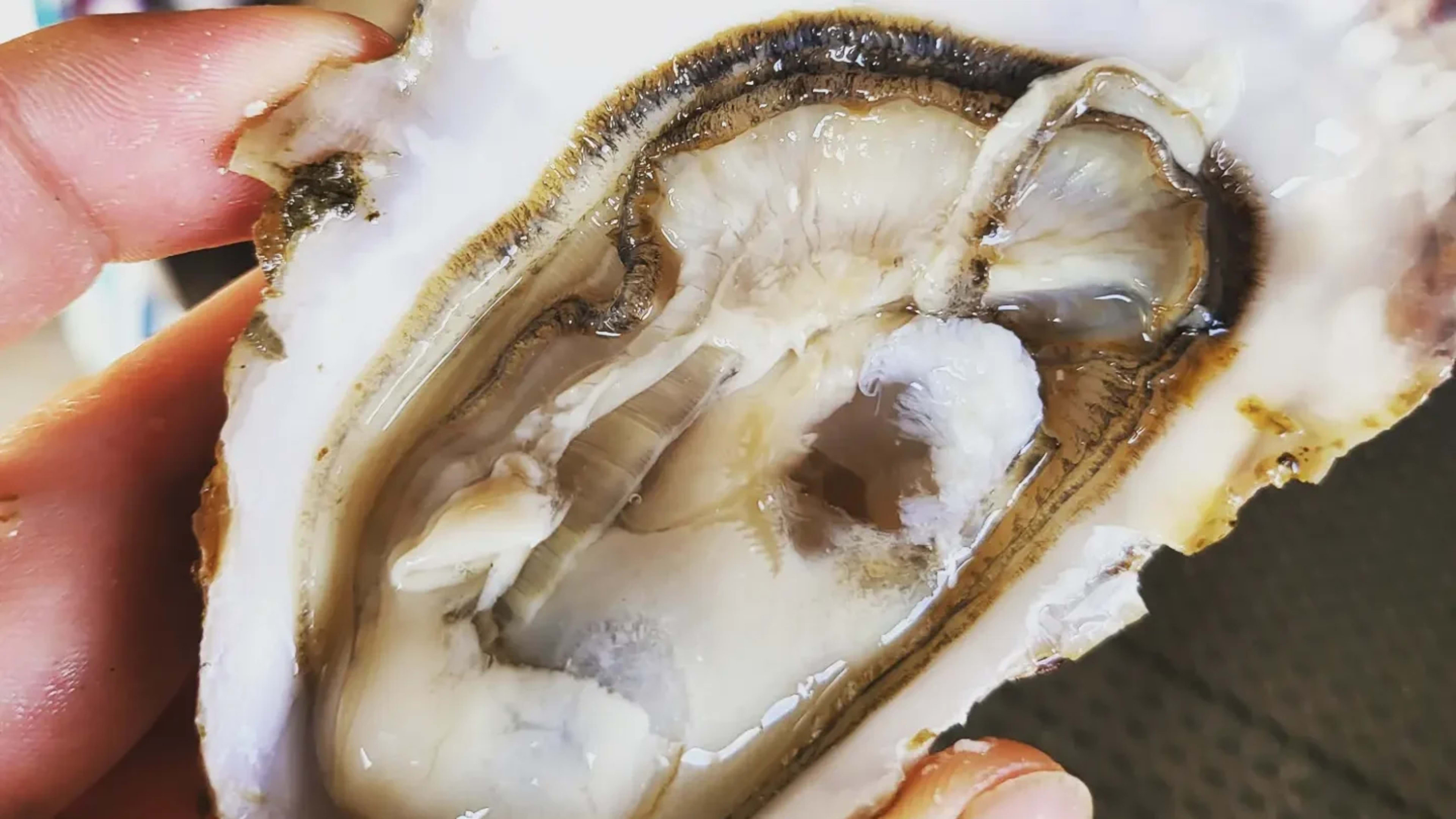 The 10 Best Restaurants in La Rochelle 2025 | TheFork