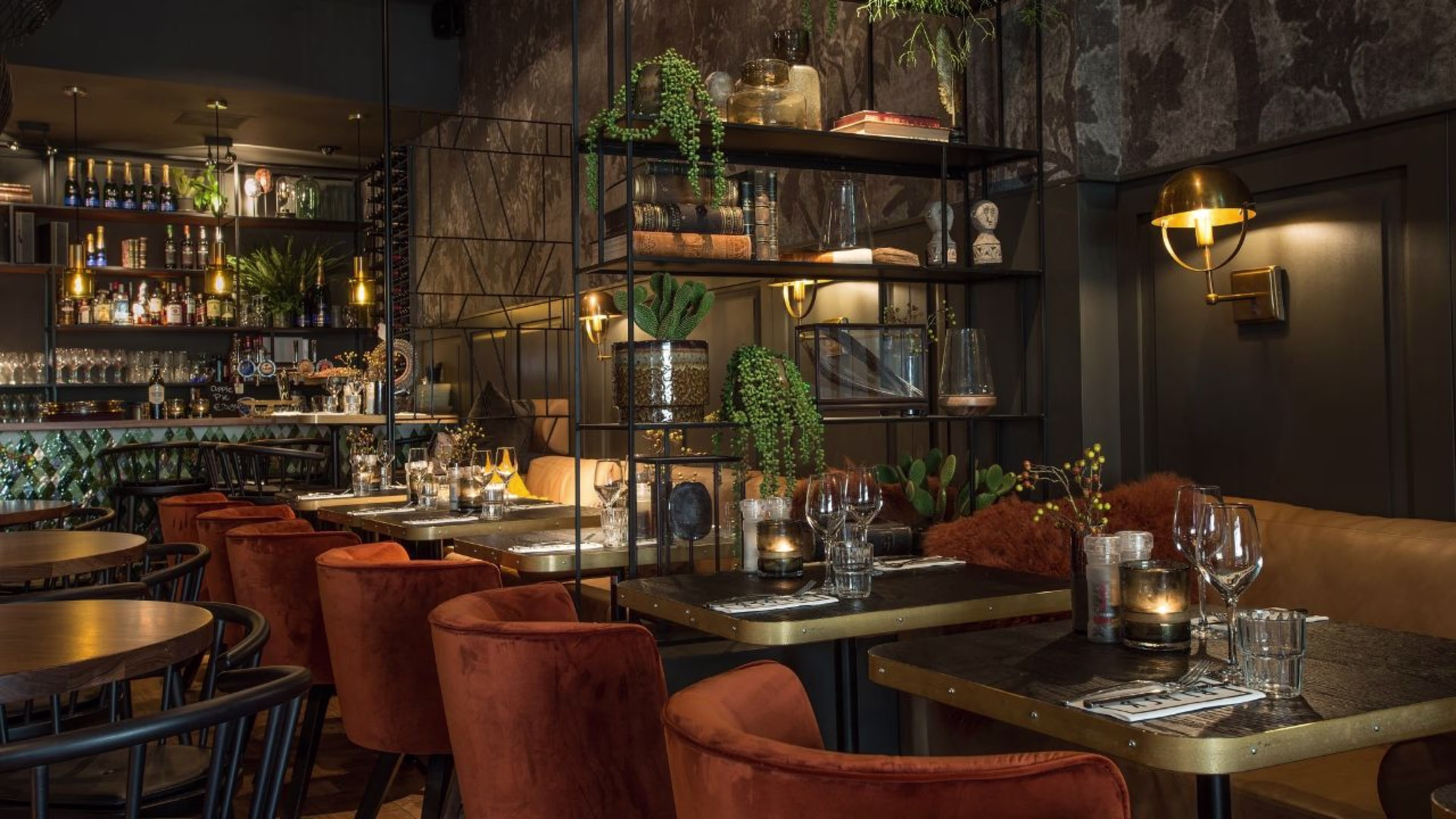 Restaurants In Amsterdam Centrum