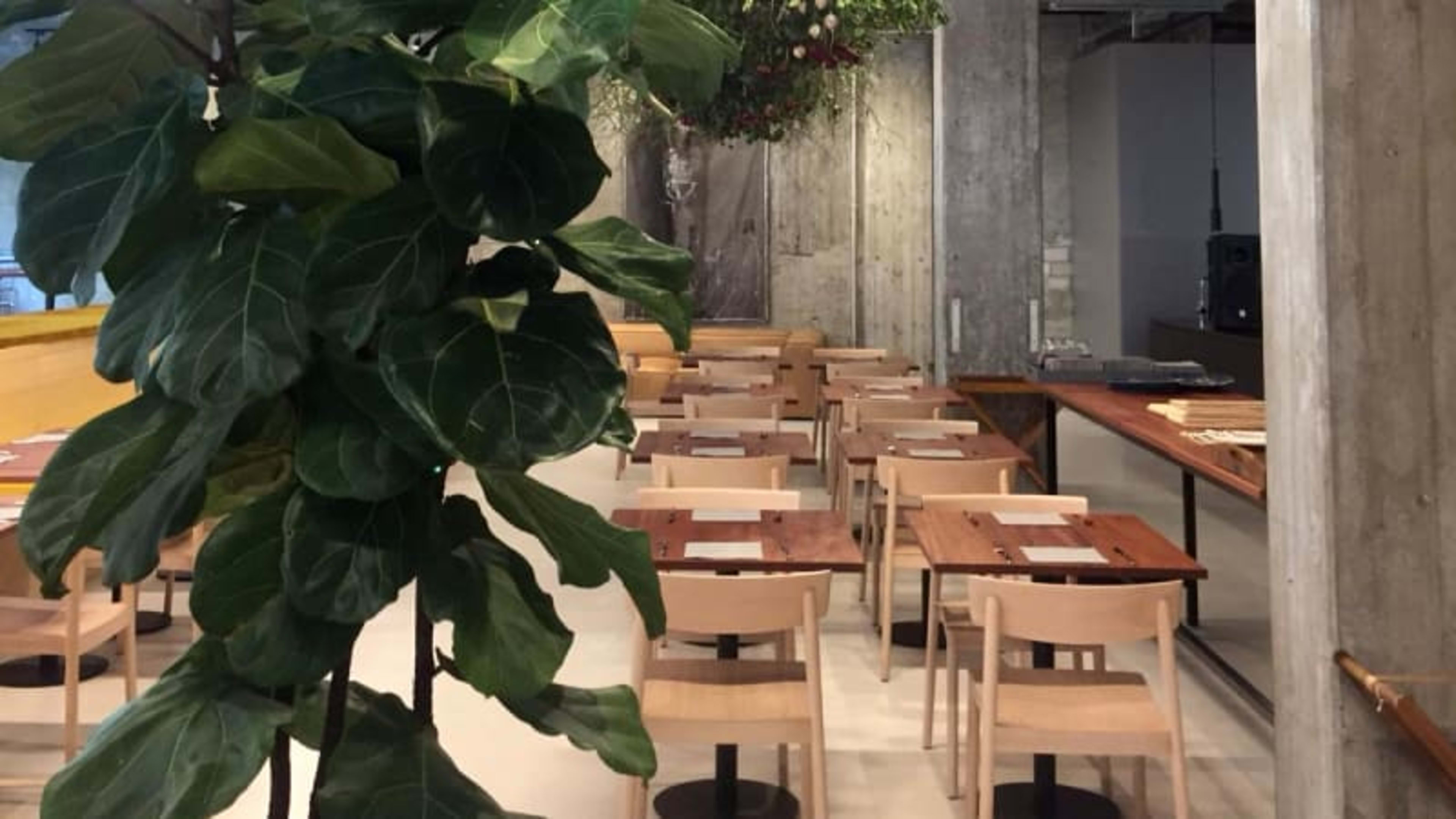 The 5 Best Restaurants in Stuttgart-Mitte, Stuttgart | TheFork