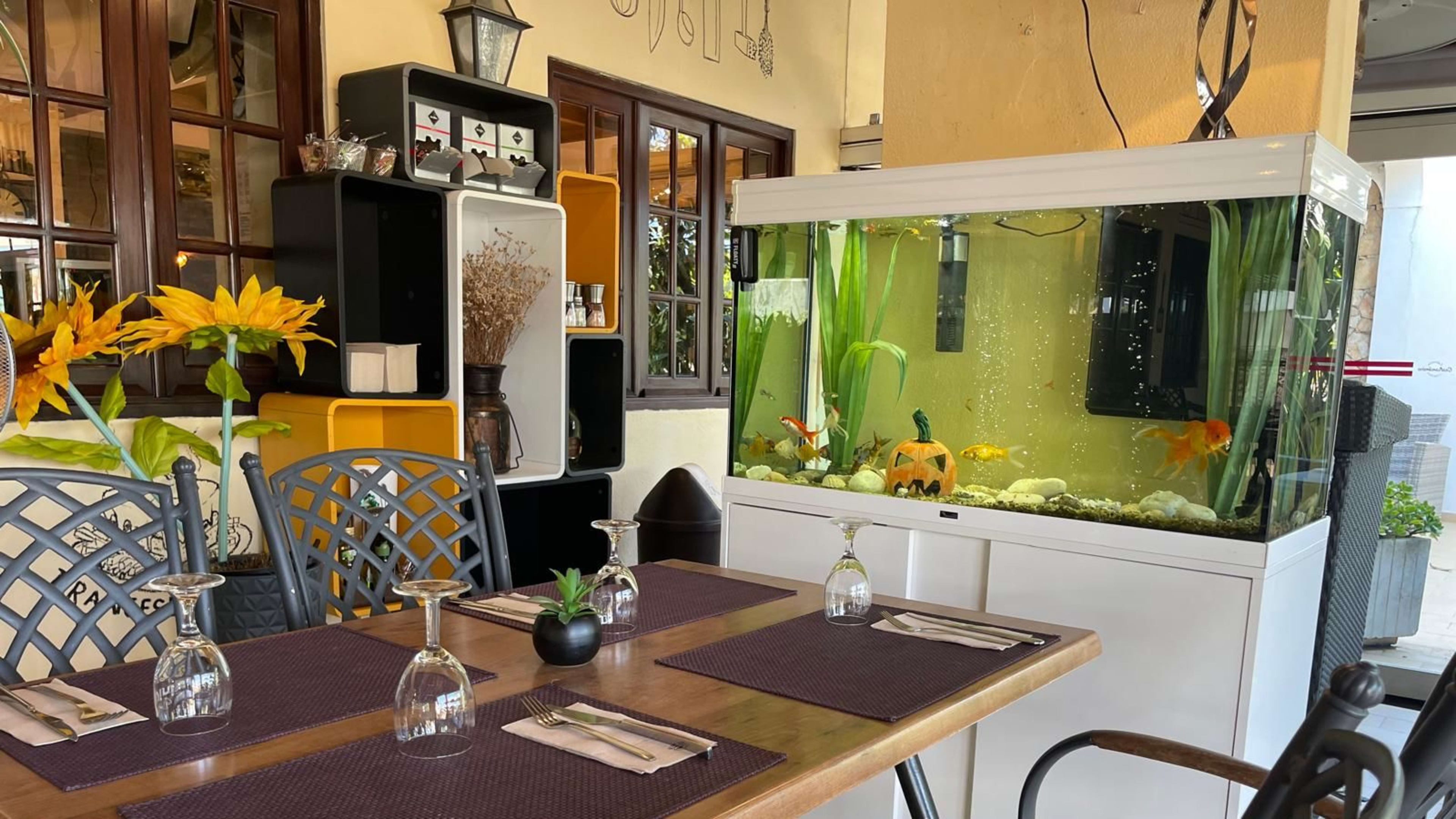 The 10 Best Restaurants in Albufeira 2025 | TheFork