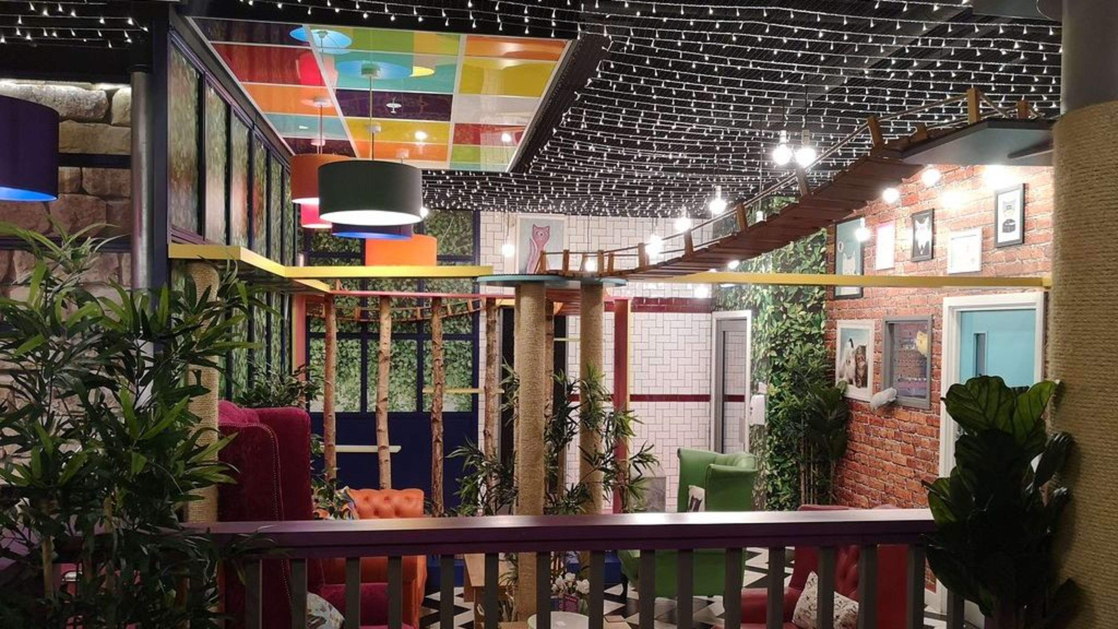 The Best Restaurants in Birmingham City Centre, Birmingham | TheFork