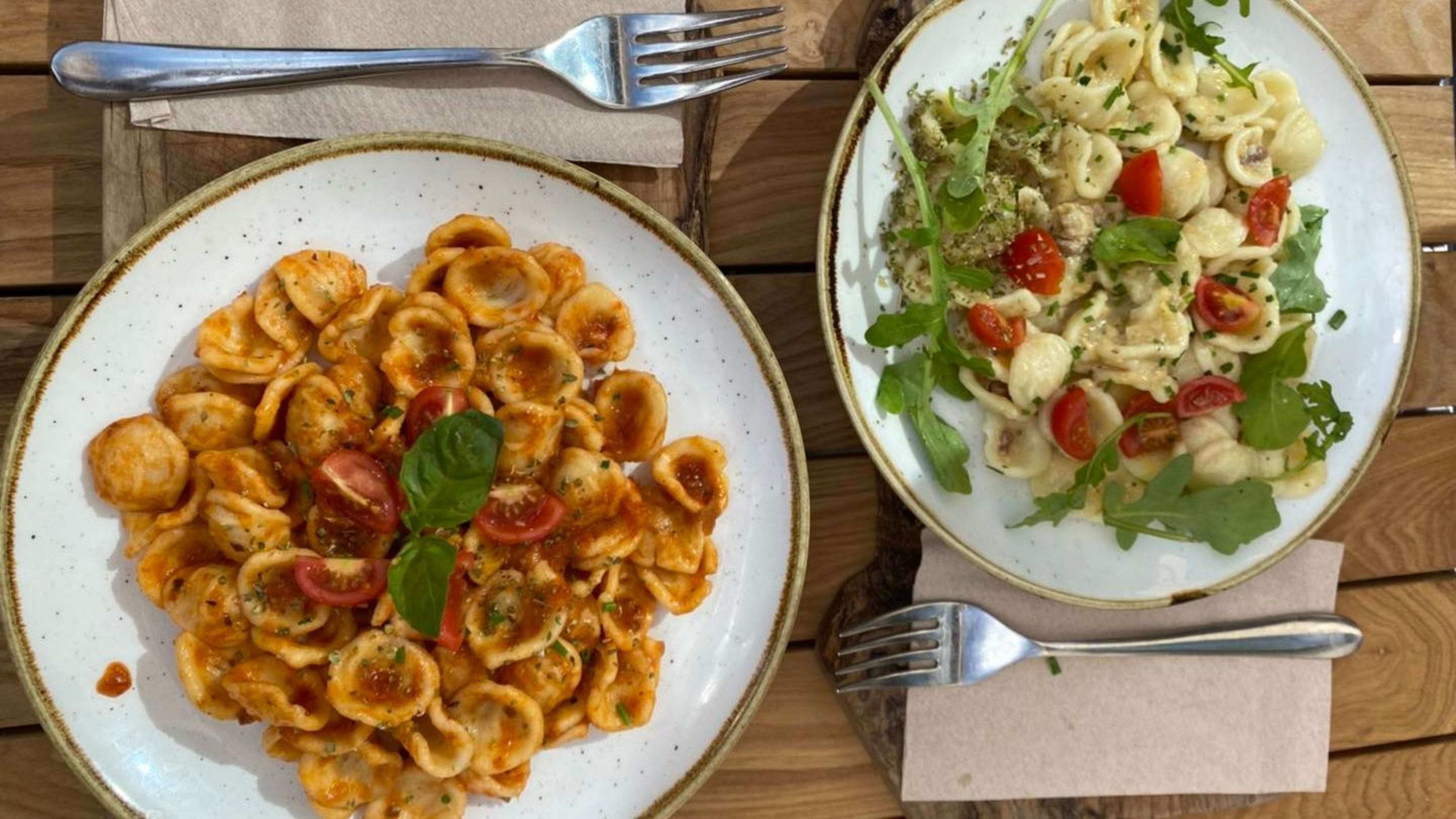 The Best Dog-Friendly Restaurants Near Me | TheFork