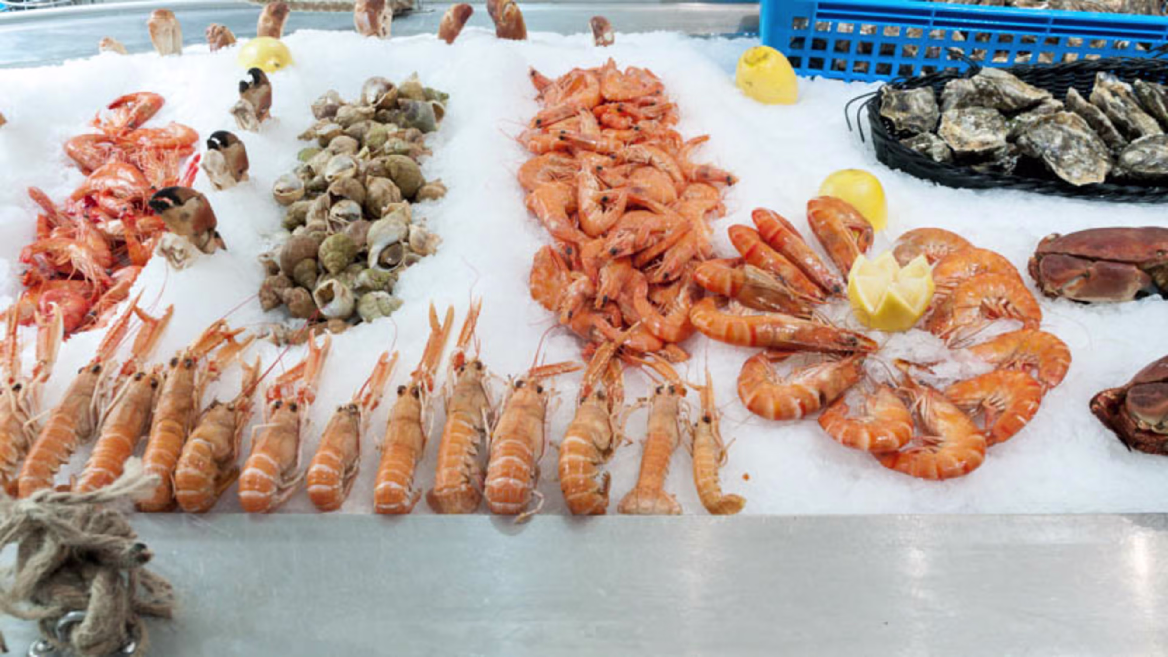 The 10 Best Seafood Restaurants in Paris | TheFork