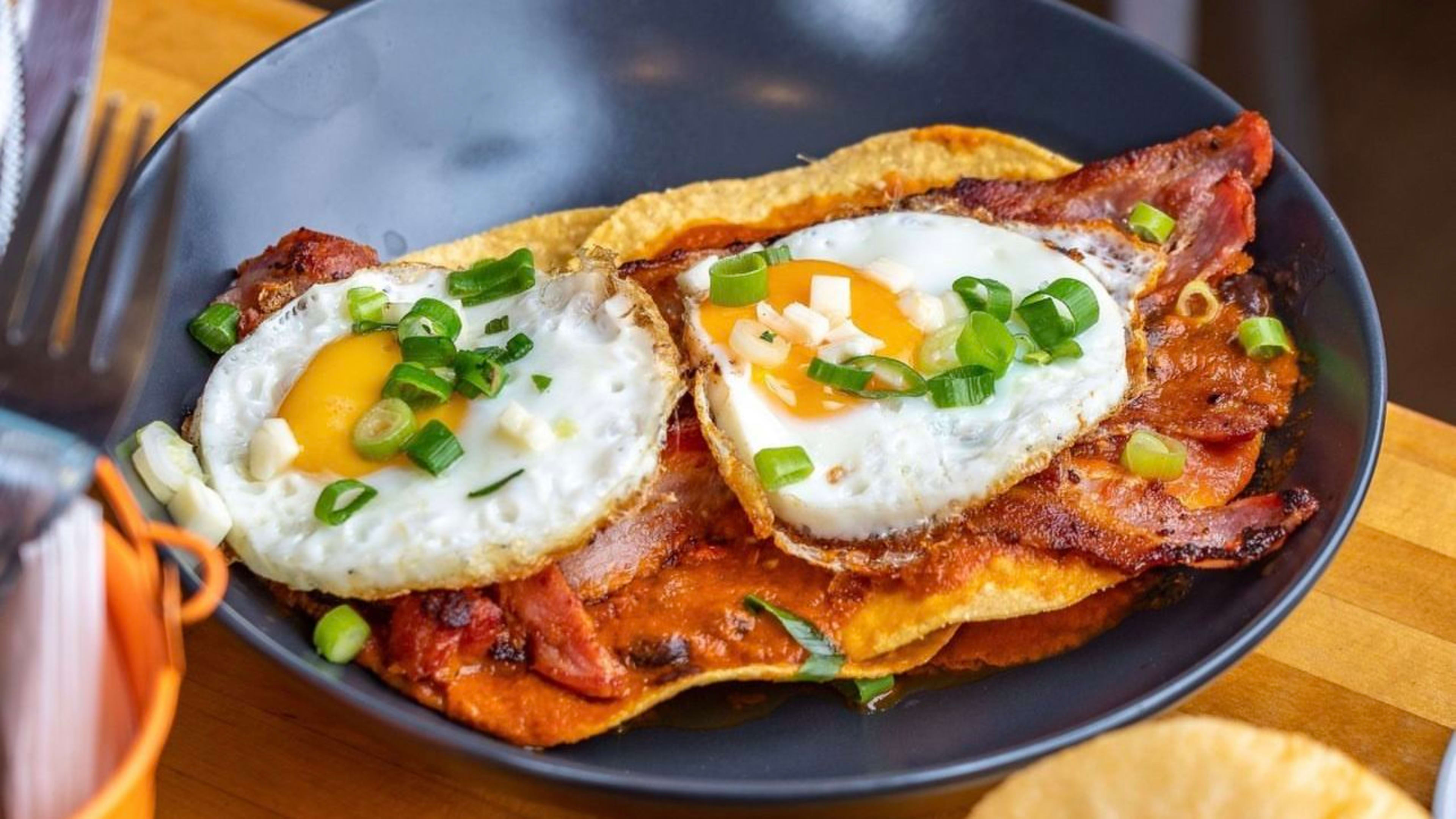 The Best Dog-Friendly Restaurants Near Me | TheFork