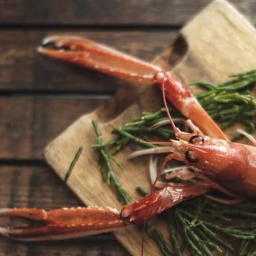 Faber in London - Restaurant Reviews, Menus, and Prices | TheFork