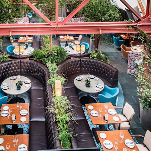 Bluebird Chelsea in London - Restaurant Reviews, Menu and Prices | TheFork