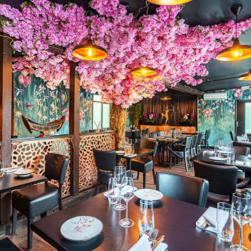 sticky mango waterloo