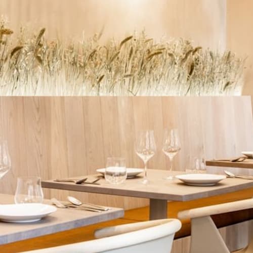 Menus 2026 - Notto Pasta bar in London | TheFork
