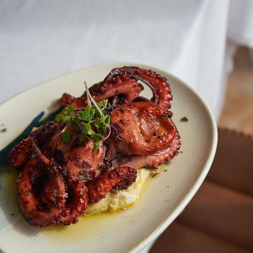 Tabalet in Valencia - Restaurant Reviews, Menus, and Prices | TheFork