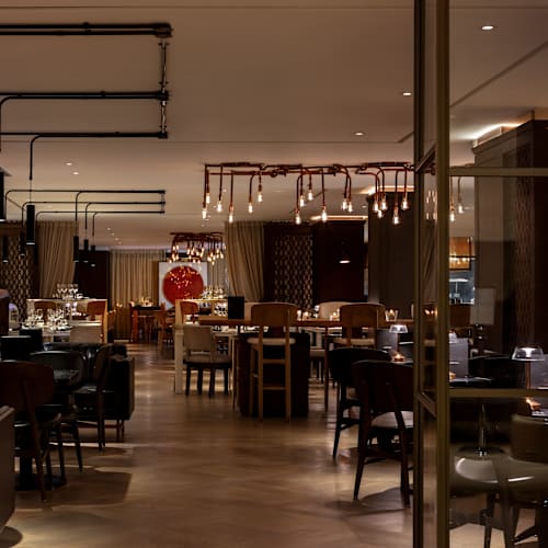 The May Fair Kitchen, Mayfair in London - Restaurant Reviews, Menus ...