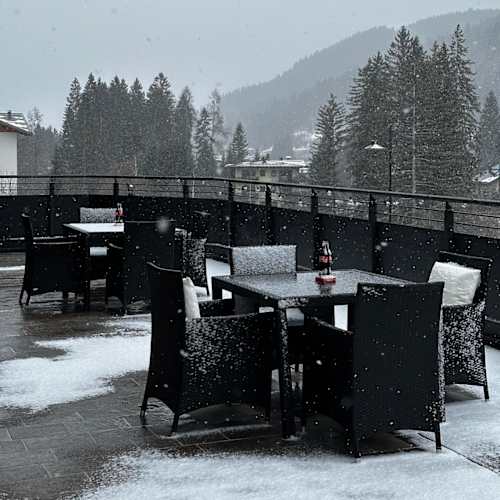 Sissi Bistro Bar em Madonna Di Campiglio - Preços, menu, morada ...