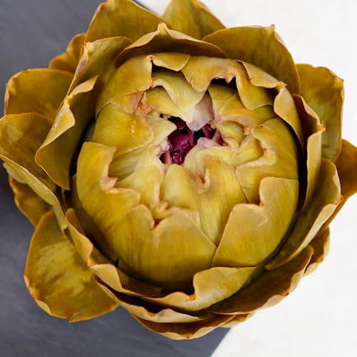 Gazette Brasserie Chancery in London - Restaurant Reviews, Menus, and ...