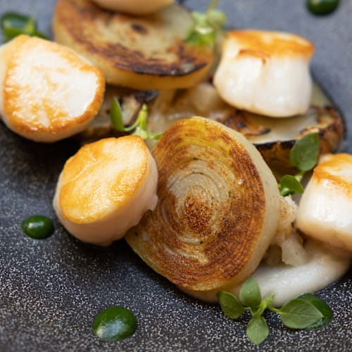 Carte et Menus 2026 - Le Chapon Fin à Bordeaux | TheFork