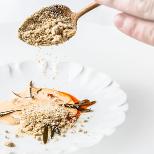 Menu 2026 - Aponiente by Ángel León in El Puerto De Santa Maria | TheFork