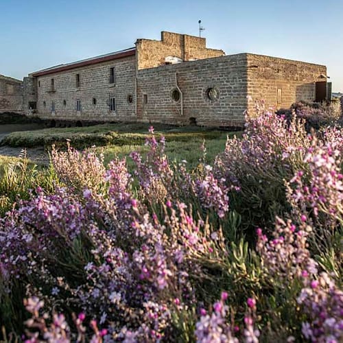 Menu 2026 - Aponiente by Ángel León in El Puerto De Santa Maria | TheFork
