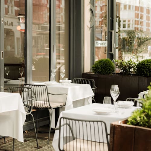 The Silver Birch in London - Restaurant Reviews, Menus, and Prices ...