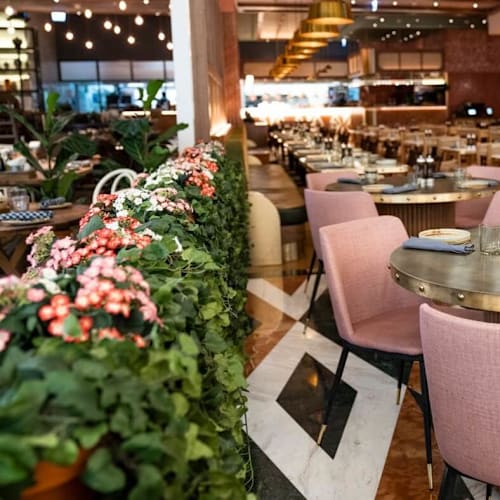 Tribes Dubai Mall in دبي - Restaurant Reviews, Menu and Prices | TheFork