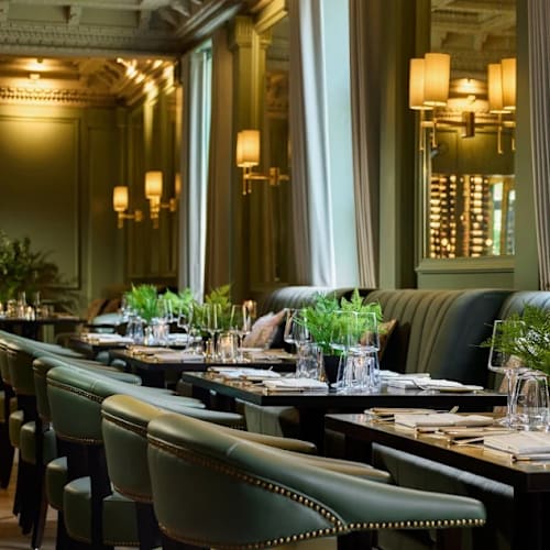 The Peregrine in Killarney - Restaurant Reviews, Menus, and Prices ...