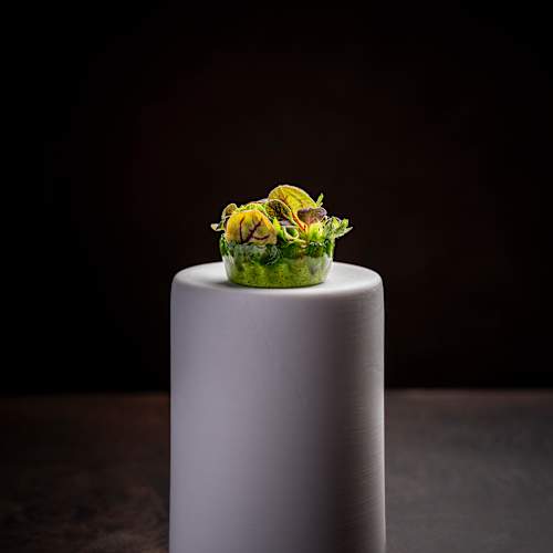 Ramón Freixa Atelier à Madrid - Menu, avis, prix et réservation | TheFork