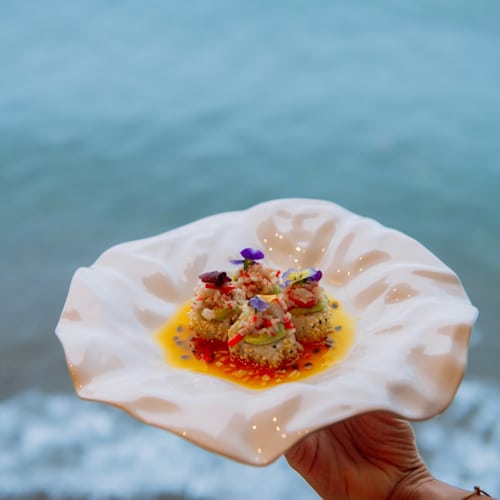 Menus 2026 - Jane Sushi Fusion in Ischia | TheFork