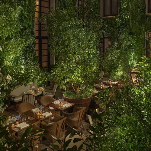Anima a Roma - Menu, prezzi, immagini, recensioni e indirizzo del ...