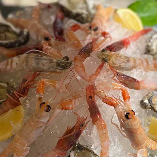 Kraken Restaurant in Sperlonga - Restaurant Reviews, Menu and Prices ...
