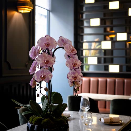 Menu 2026 - Passionné em Paris | TheFork