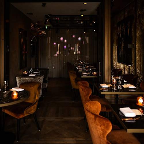 Menu 2026 - BO by Bougainville in Amsterdam | TheFork