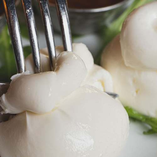 Trattoria Dalloste Chianineria in Florence - Restaurant Reviews, Menu ...