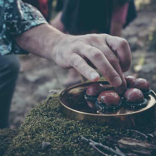 Carte et Menus 2026 - Déjeuner et dîner en forêt par Jérémy Galvan à ...