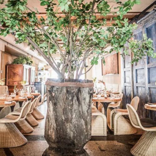 Ashoka Amsterdam in Amsterdam - Menu, openingstijden, prijzen, adres ...
