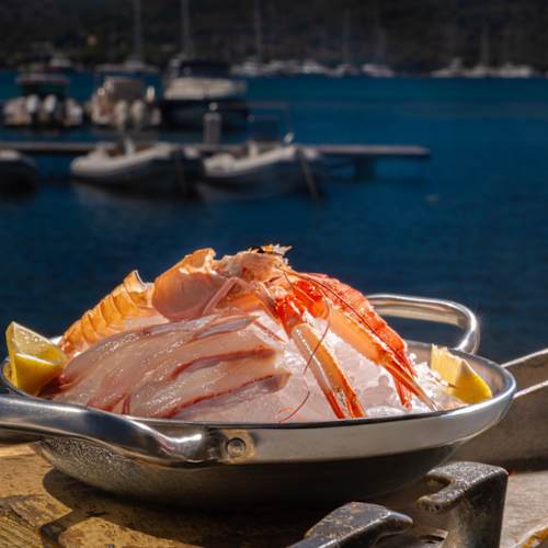 Benthos Porto Rotondo a Porto Rotondo - Menu, prezzi, immagini ...
