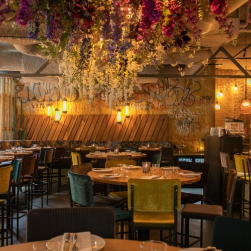Ayla in Rotterdam - Menu, openingstijden, prijzen, adres van restaurant ...