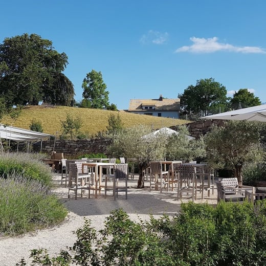 Menu 2026 - Times Grill. em Saint-Légier-La Chiésaz | TheFork