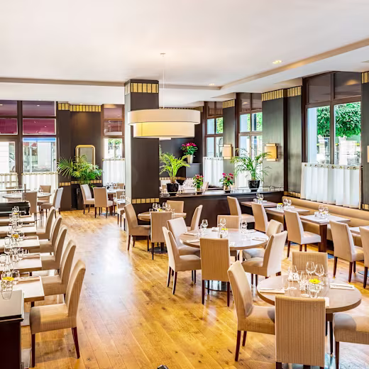 The Best Restaurants with Deals in Chessy up to 50% off | TheFork