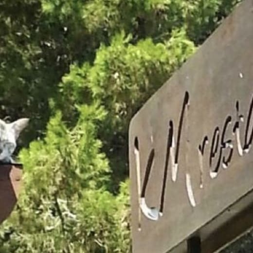 The Best Creative Restaurants in San Vito Lo Capo | TheFork