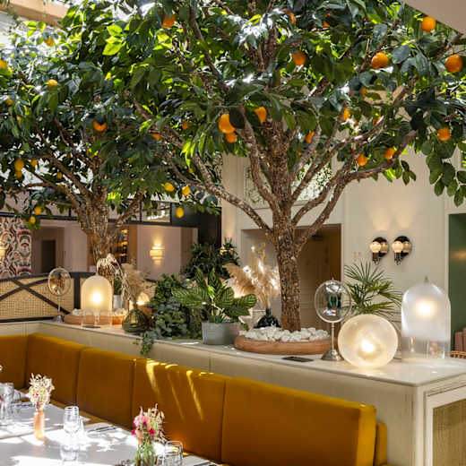 Restaurant Arboré à Paris - Menu, avis, prix et réservation | TheFork